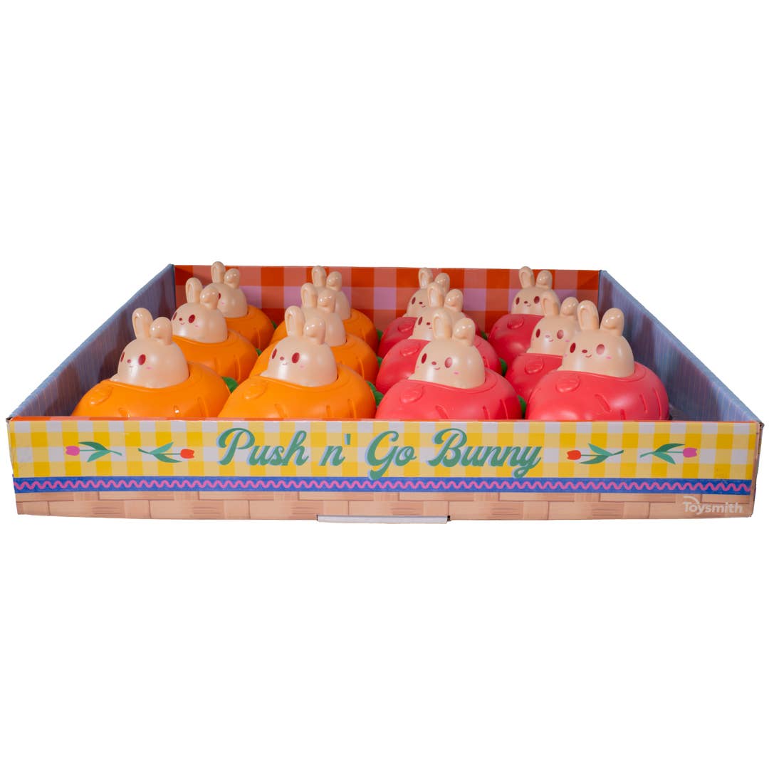 Push n' Go Bunny Toy – Calligraphy Creations In KY
